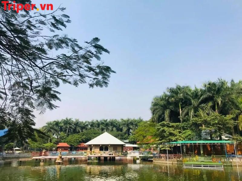 Review công ty du lịch cánh buồm xanh uy tín giá tốt